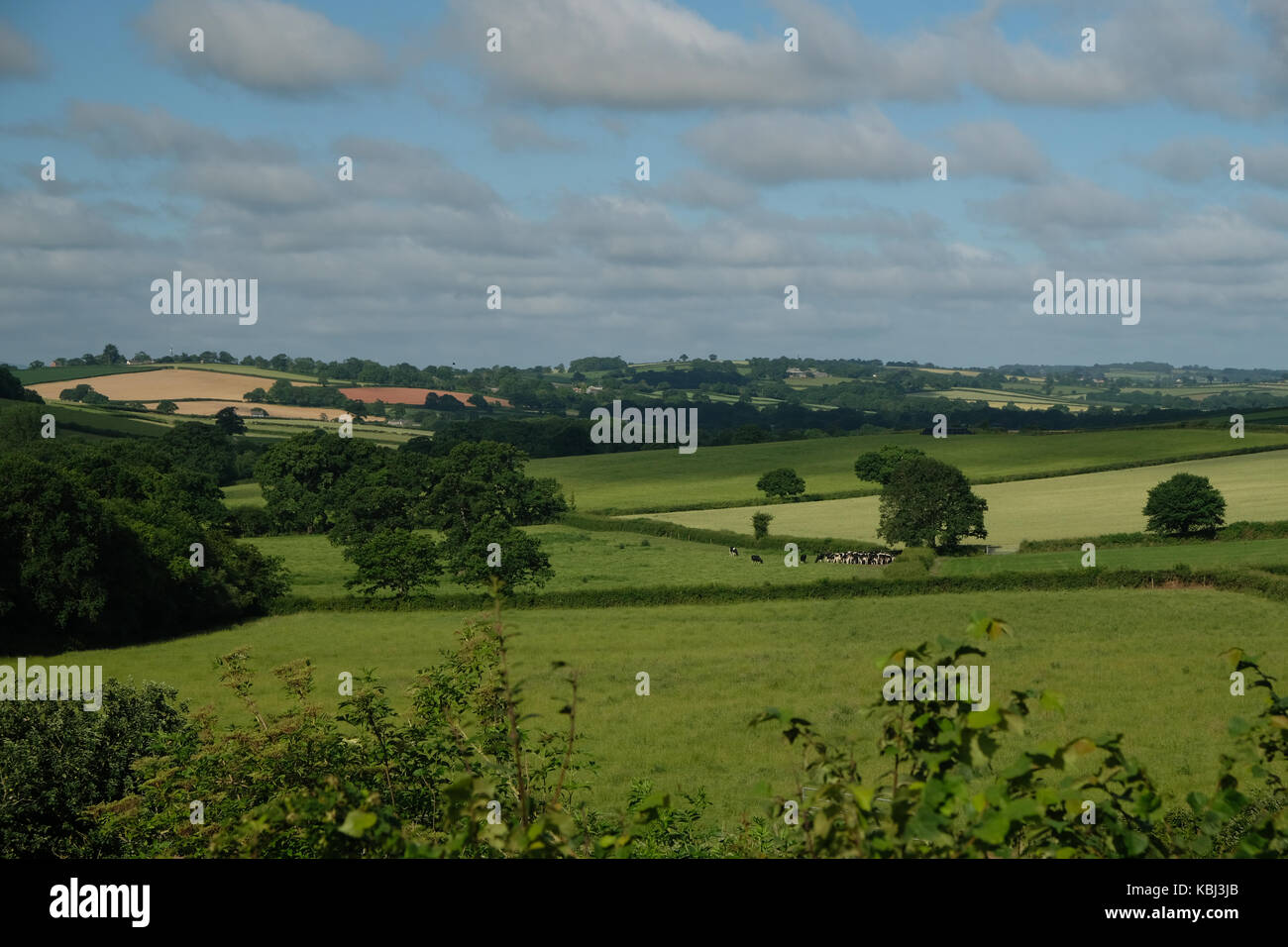 Fields and Clouds, mid Devon Stock Photo - Alamy