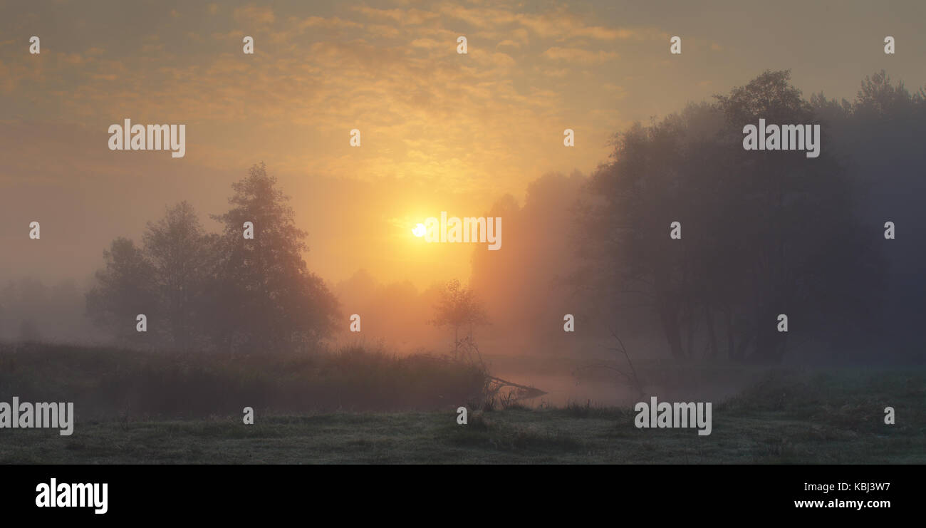Misty autumn morning. Sun shines at trees and meadow through fog ...
