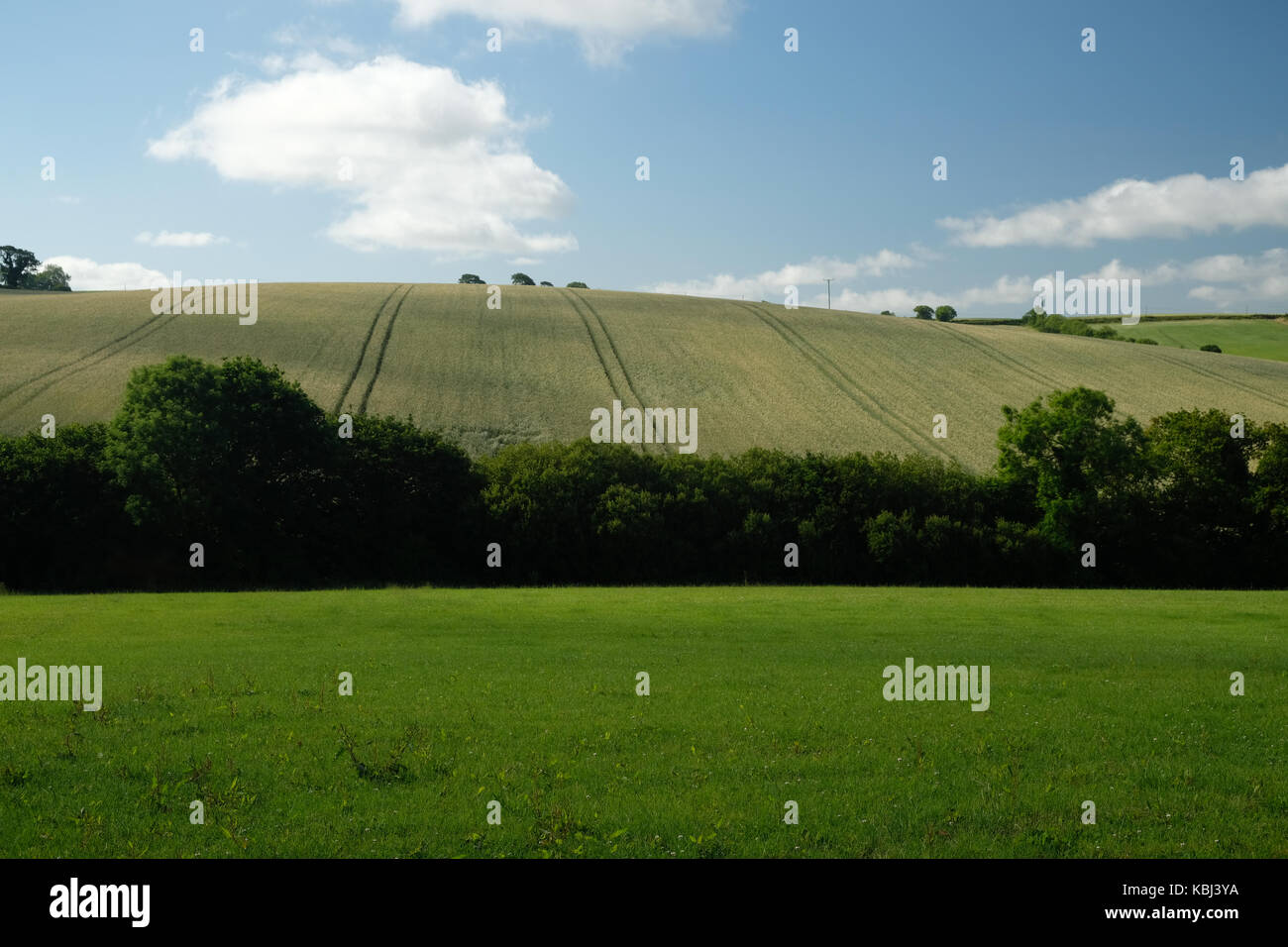 Fields and Clouds, mid Devon Stock Photo - Alamy