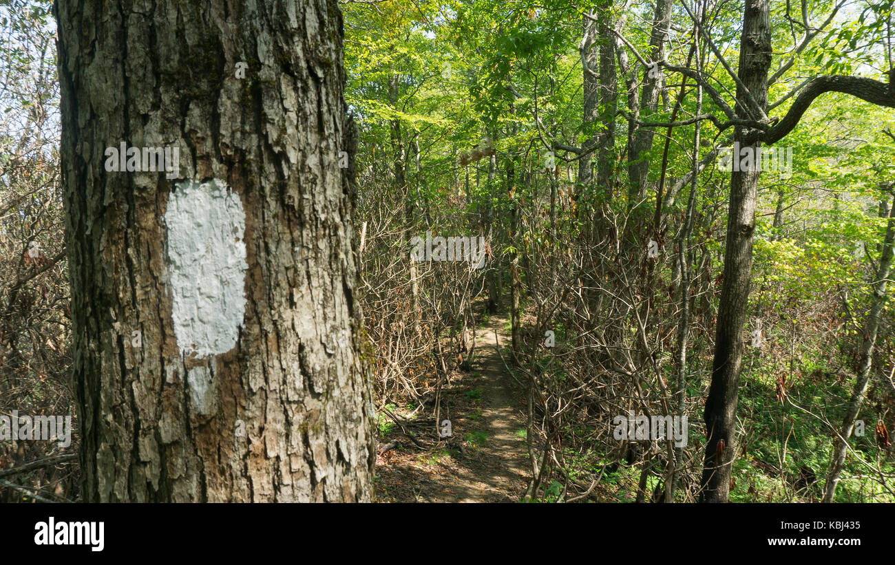 Appalachian Trail Blaze