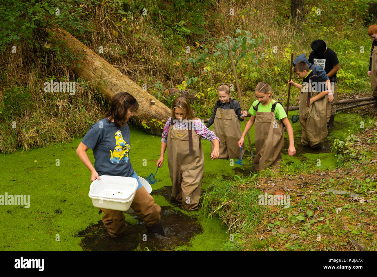 Kids walk in the water with their teacher as they learn about aquatic ...