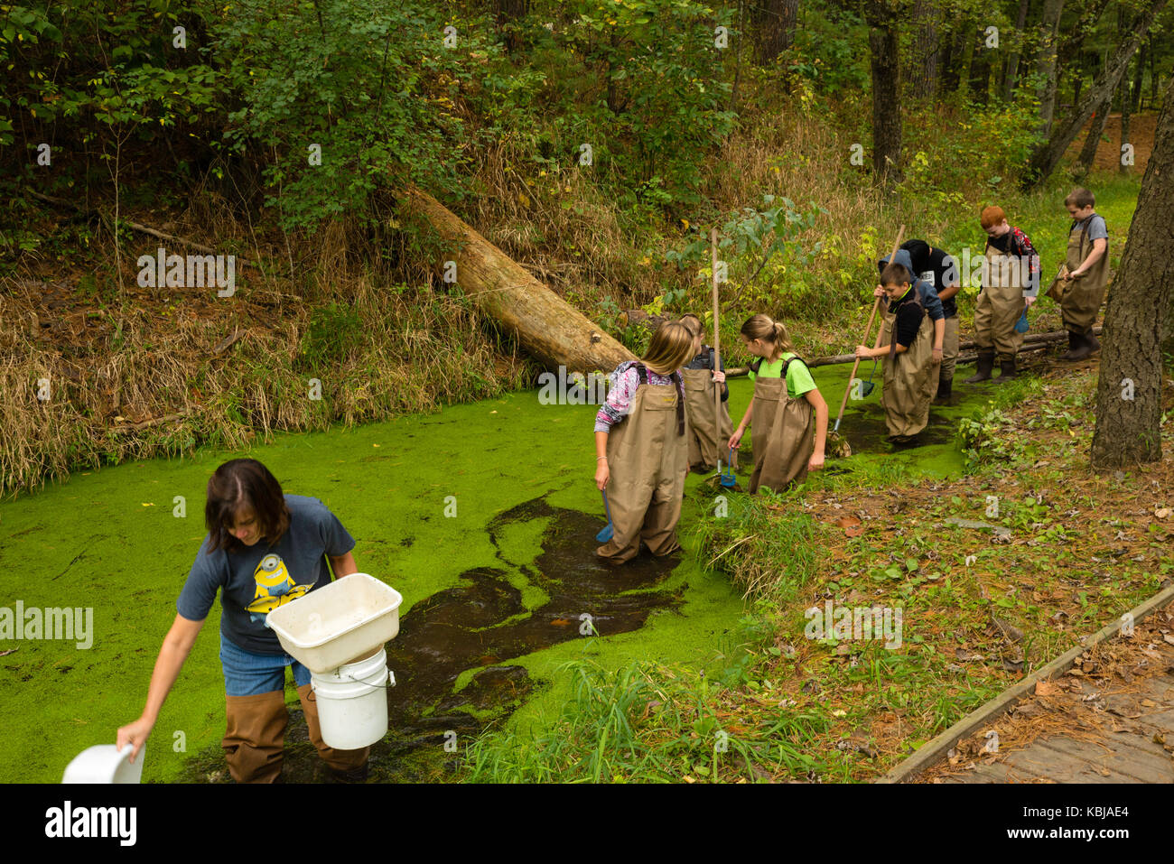 Kids walk in the water with their teacher as they learn about aquatic ...