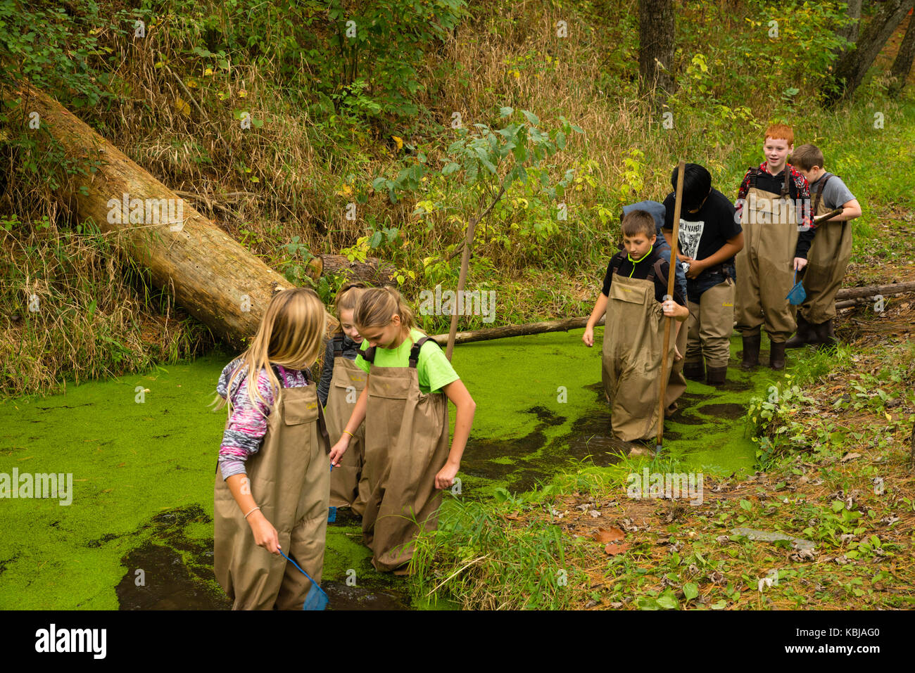 Kids walk in the water with their teacher as they learn about aquatic ...