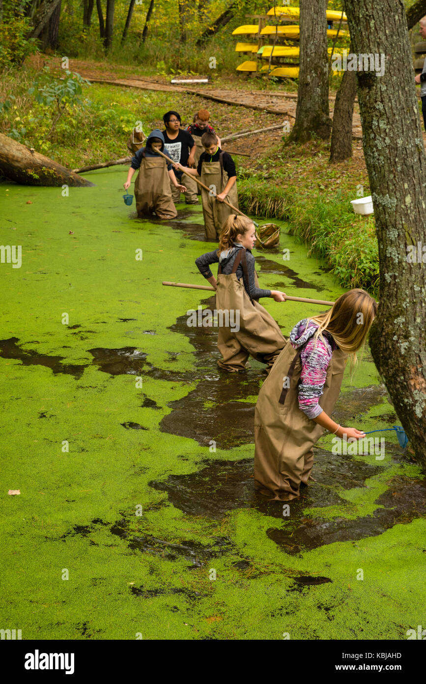 Kids walk in the water with their teacher as they learn about aquatic ...