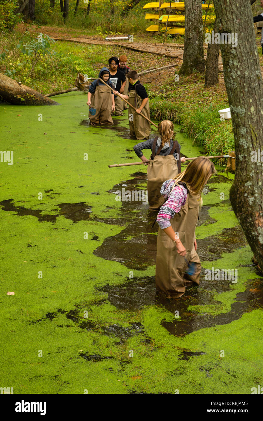 Kids walk in the water with their teacher as they learn about aquatic ...