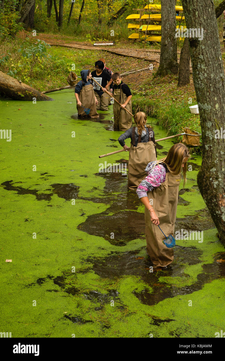 Kids walk in the water with their teacher as they learn about aquatic ...