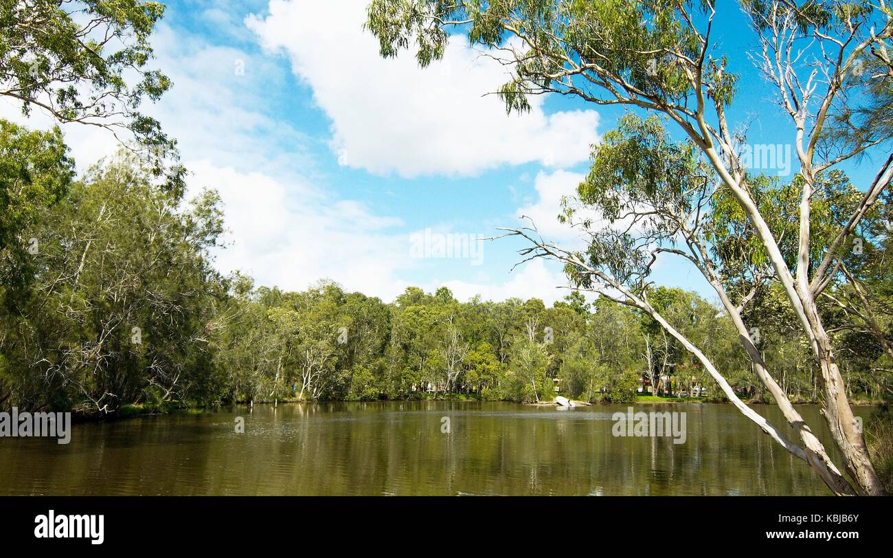 Australian bush landscape hi-res stock photography and images - Alamy