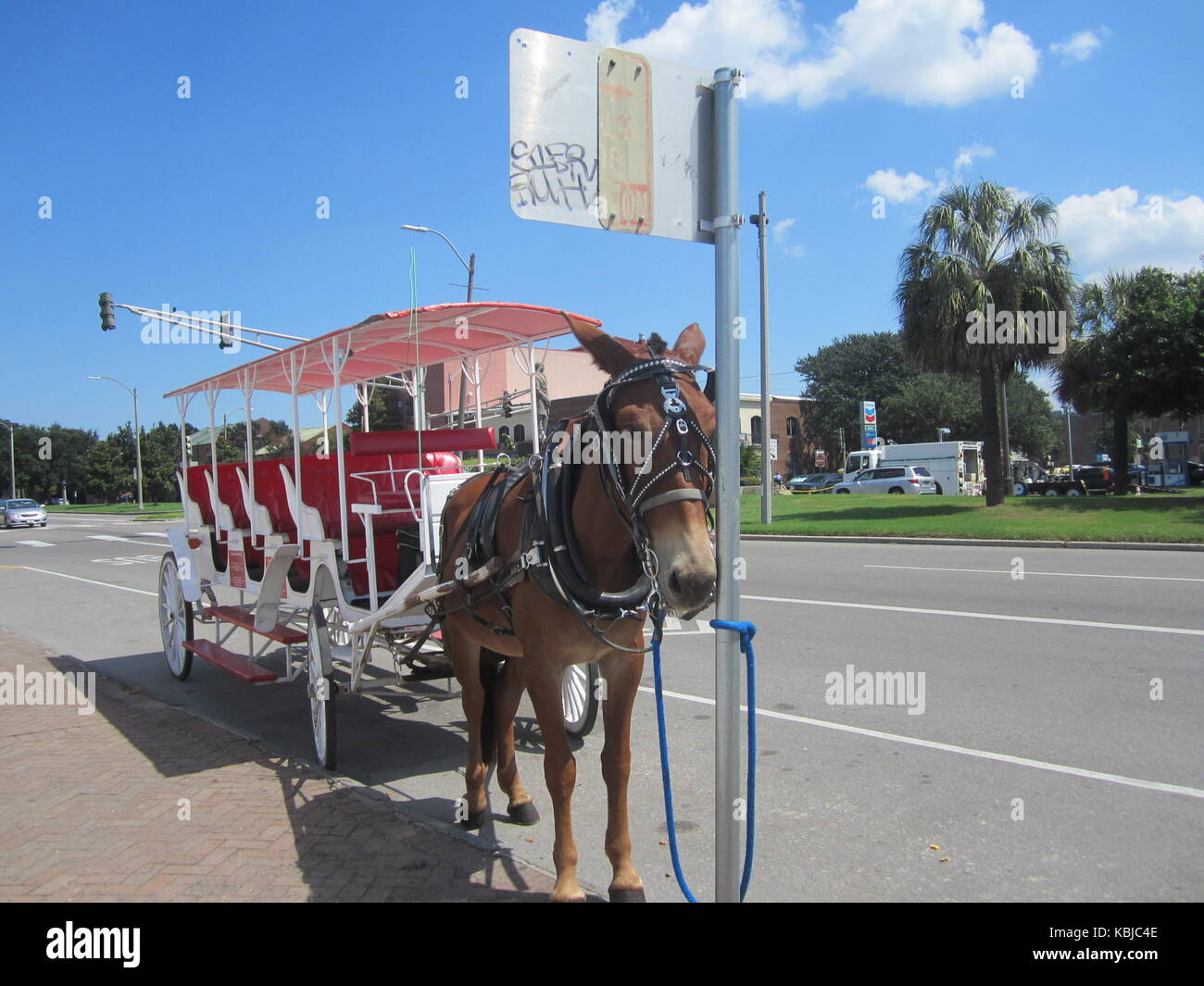 Horse pulling carriage hi-res stock photography and images - Alamy