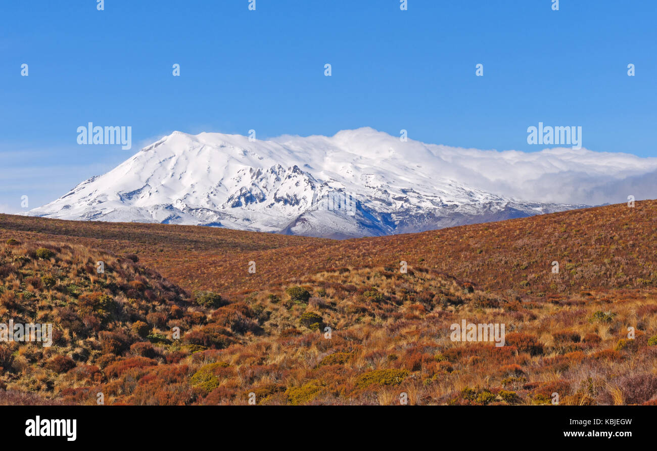 Mt Ruapehu in Tongariro National Park in New Zealand Stock Photo - Alamy Mt Ruapehu in Tongariro National Park in New Zealand Stock Photo - Alamy