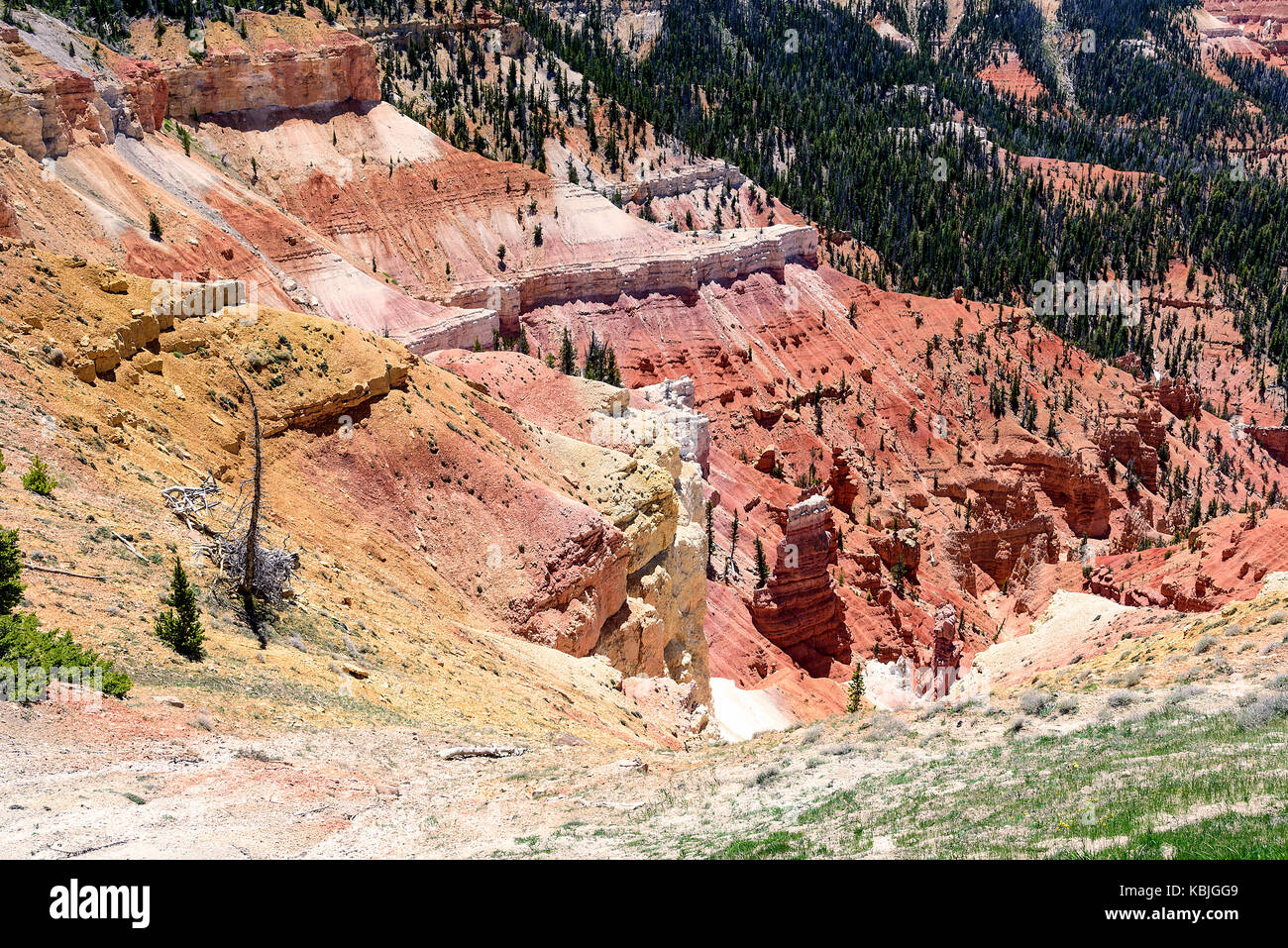 Cedar Breaks National Monument Utah USA Stock Photo - Alamy