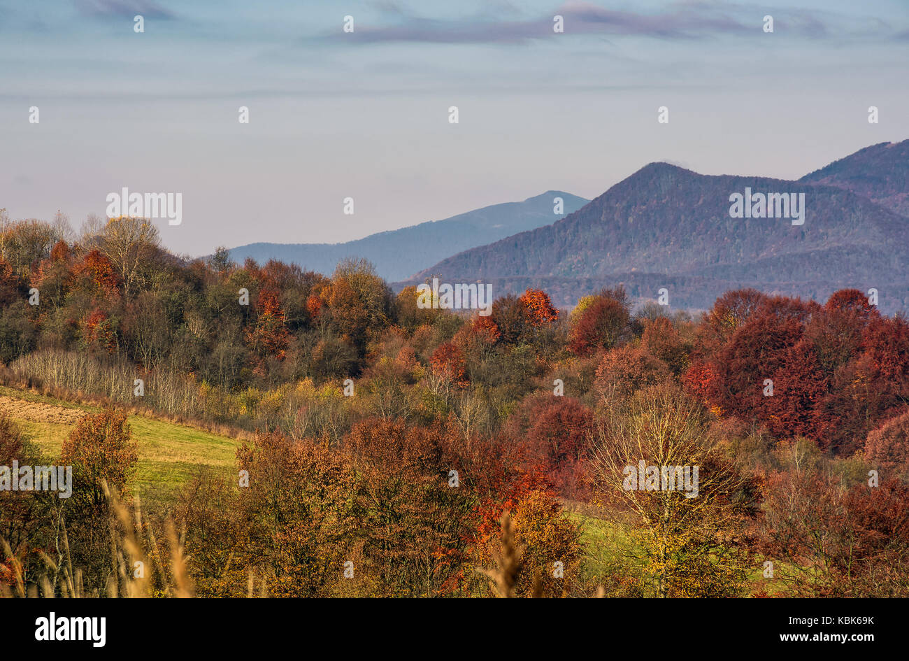 ridge with peaks above hillside with forest. lovely mountainous ...
