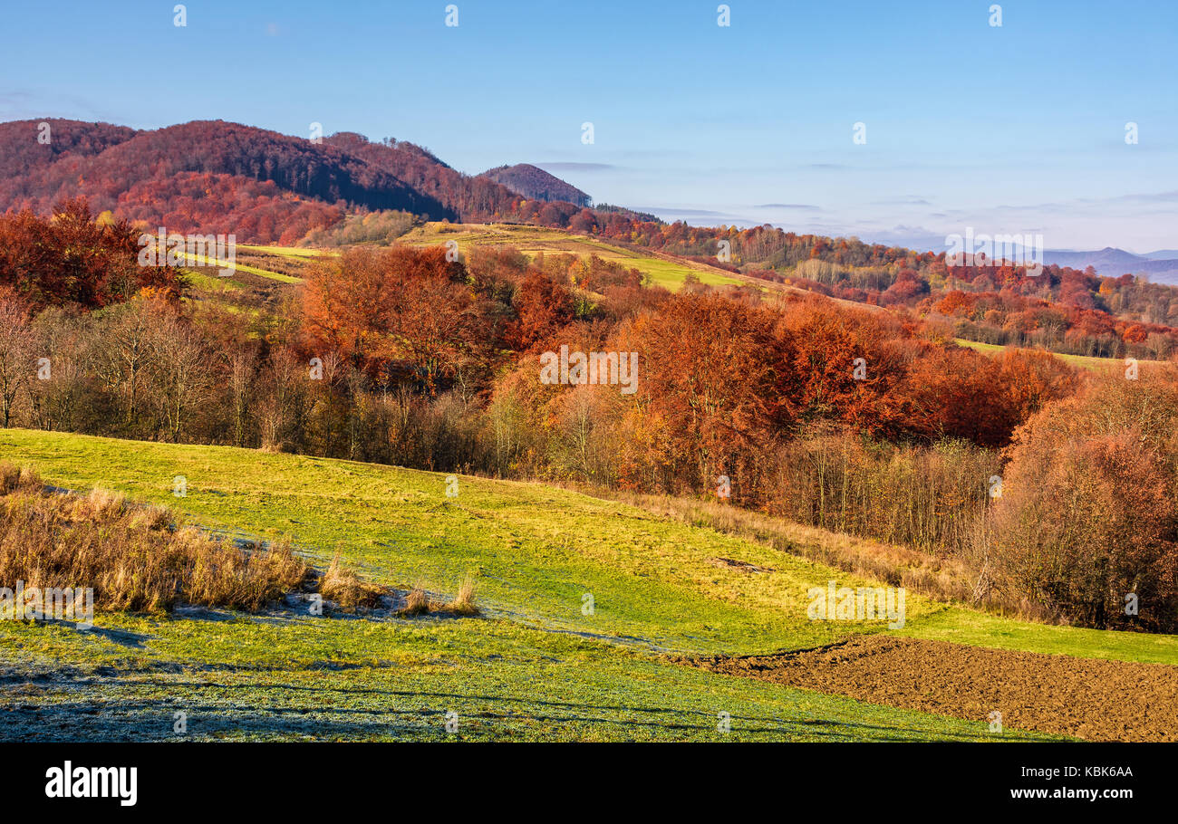 rural fields on hills in autumn. beautiful mountainous scenery with red ...