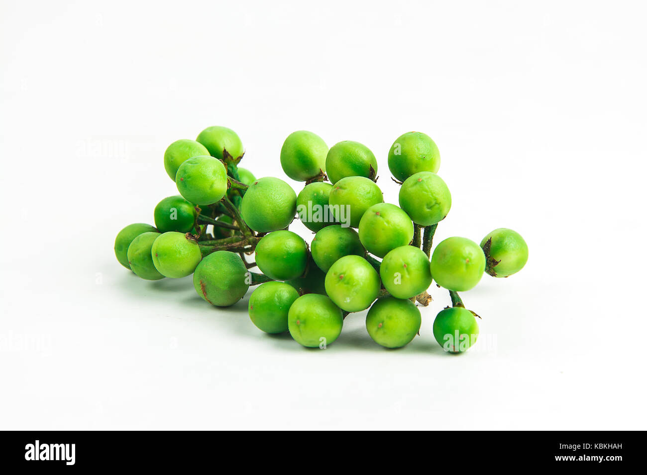 Turkey berry hi-res stock photography and images - Alamy