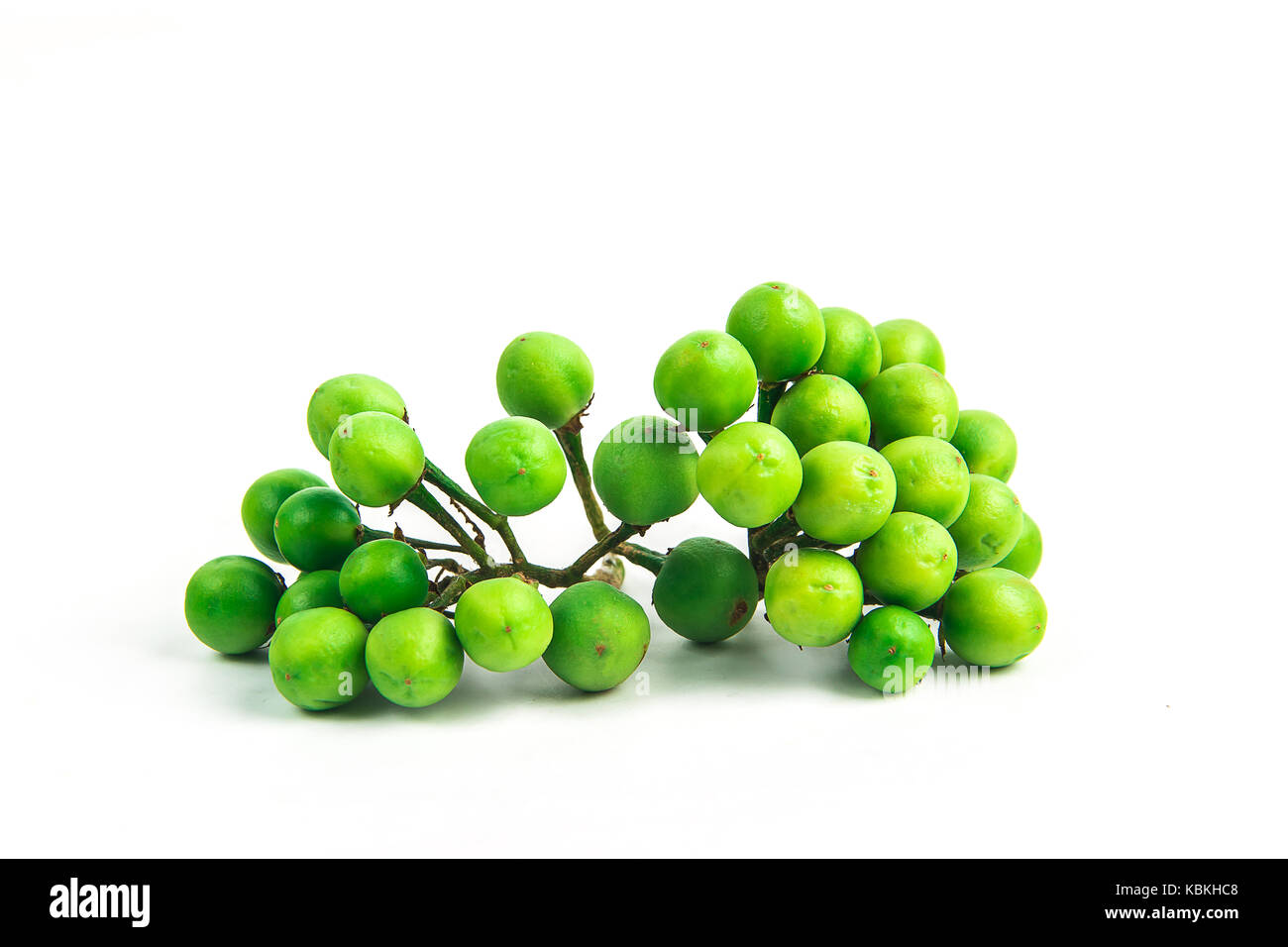 Solanum torvum ,Turkey berry on white background Stock Photo - Alamy