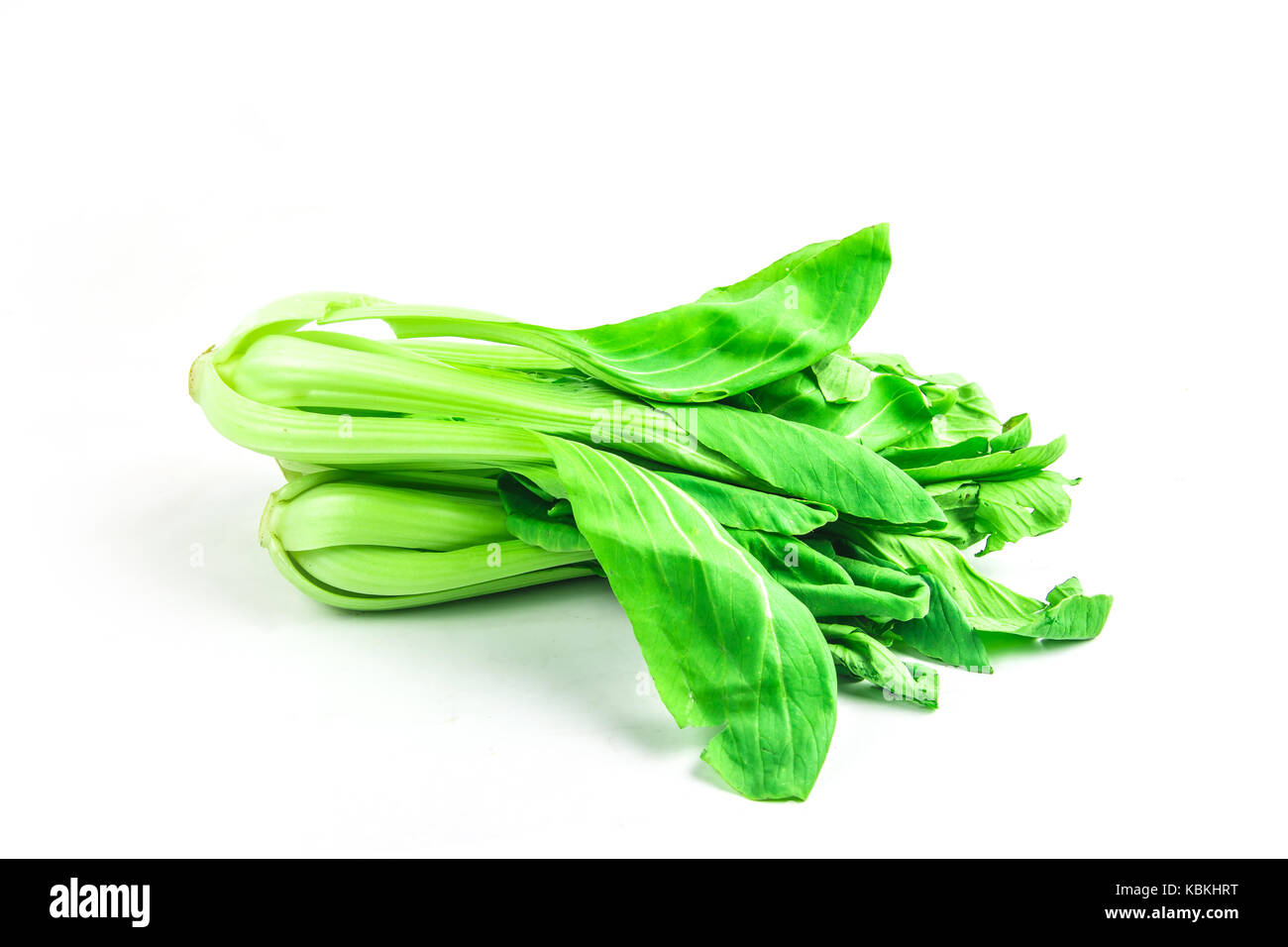 Choy isolated on white background Stock Photo - Alamy