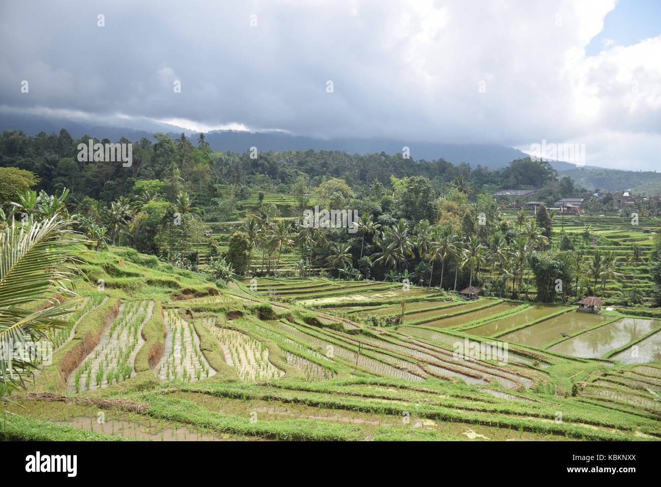 Indonesia culture images hi-res stock photography and images - Alamy
