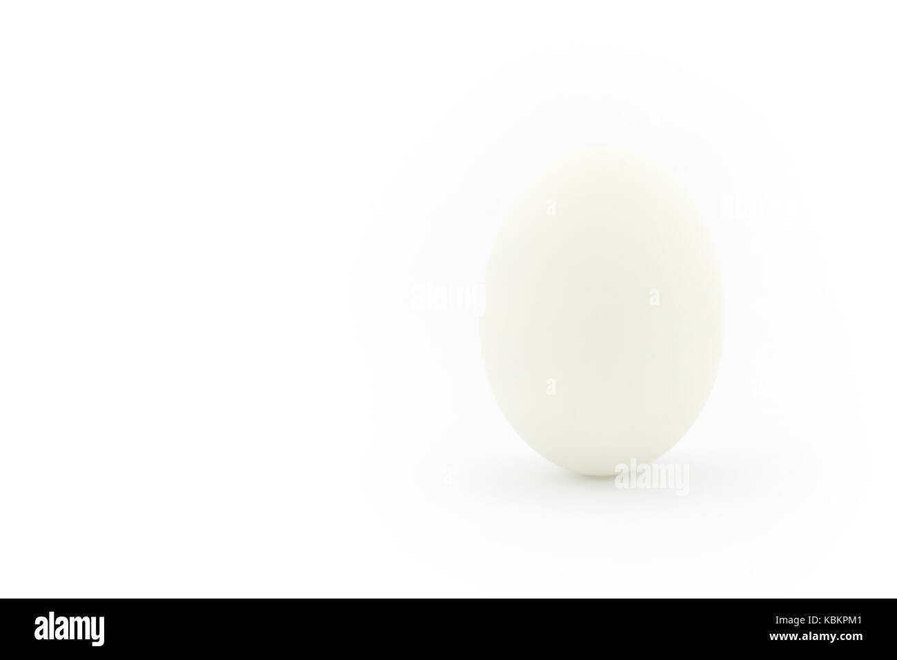 One white egg, isolated on white background Stock Photo - Alamy