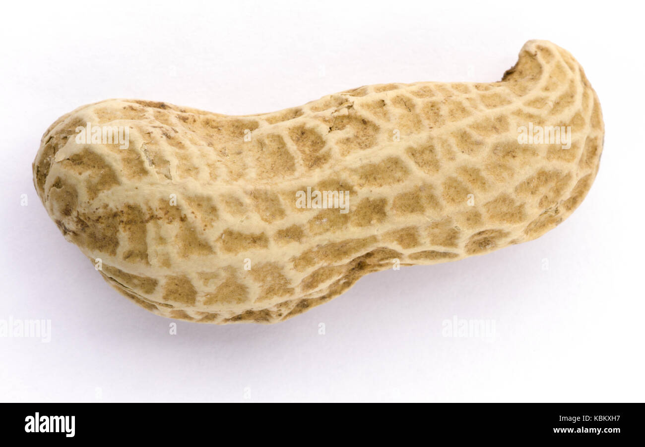 Macro closeup of Peanuts, isolated on white background Stock Photo - Alamy