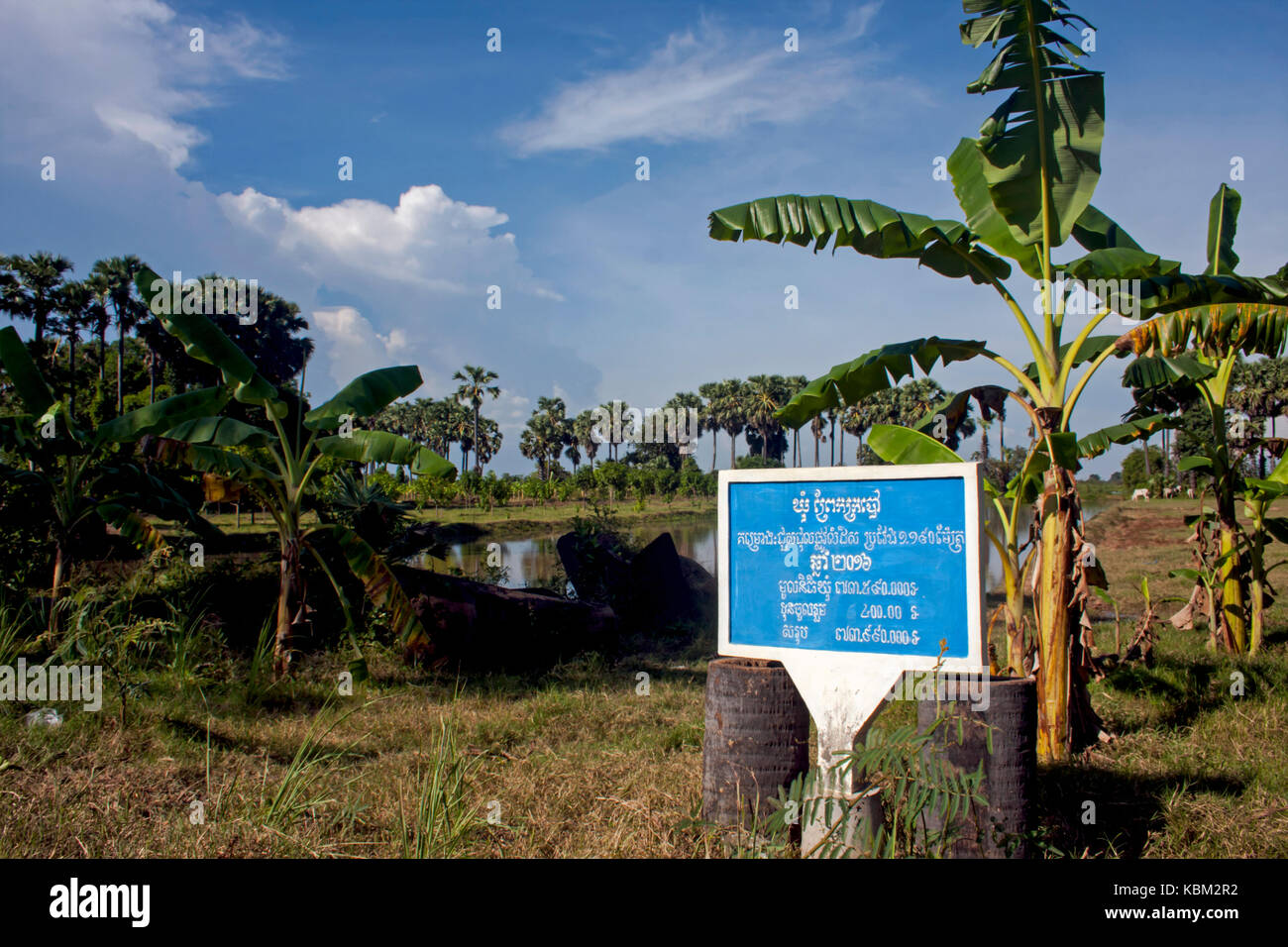 Cpp sign hi-res stock photography and images - Alamy