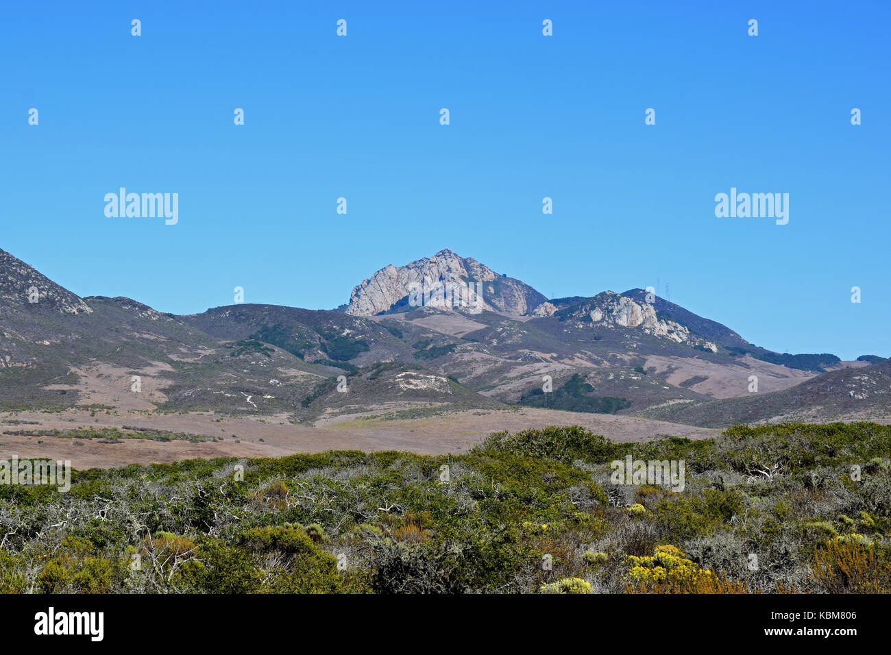 Elfin Bay Stock Photos & Elfin Bay Stock Images - Alamy
