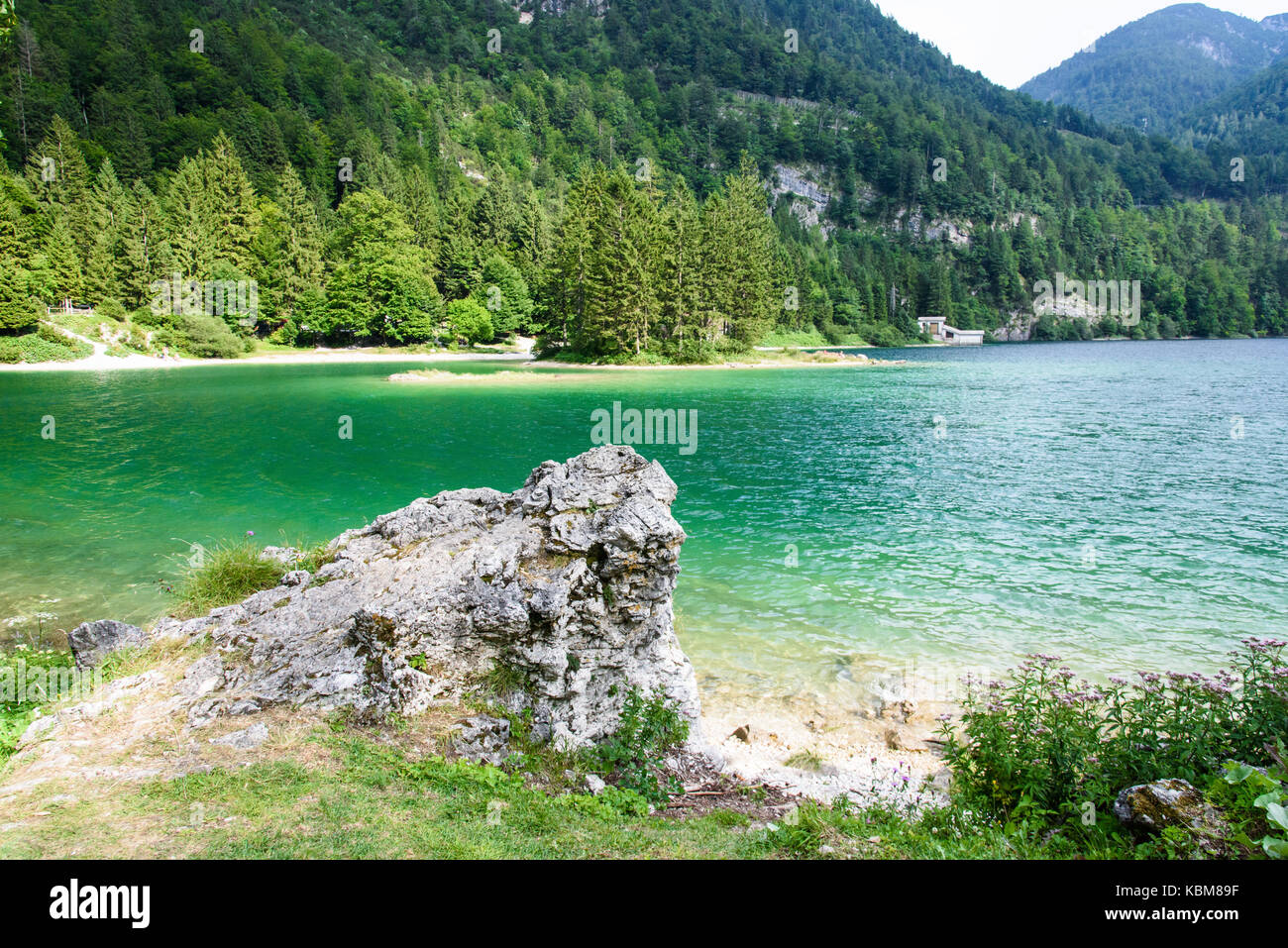 On the shore of the lake Stock Photo - Alamy