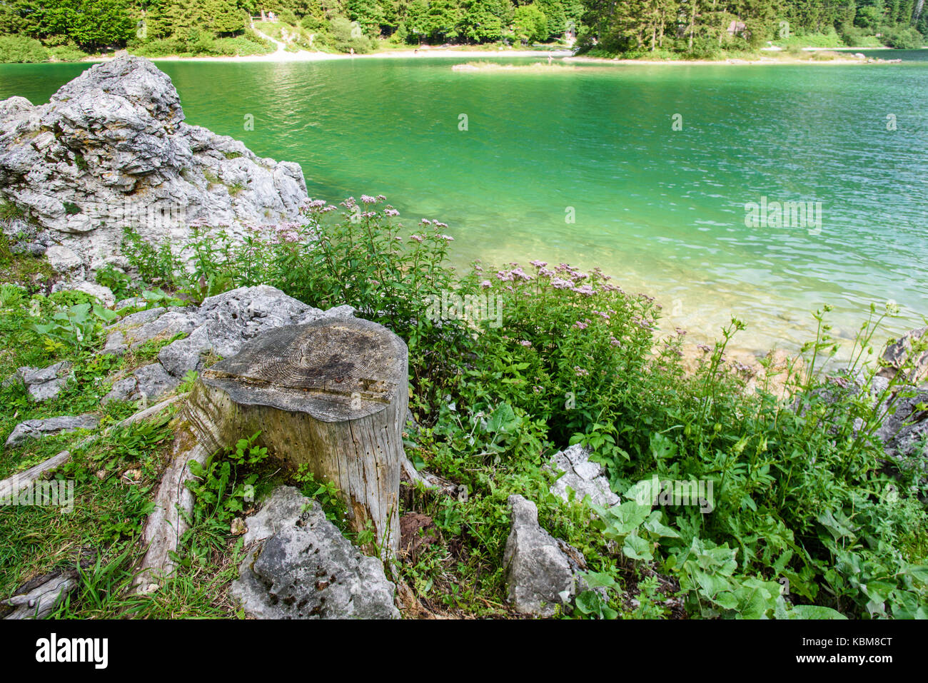 On the shore of the lake Stock Photo - Alamy