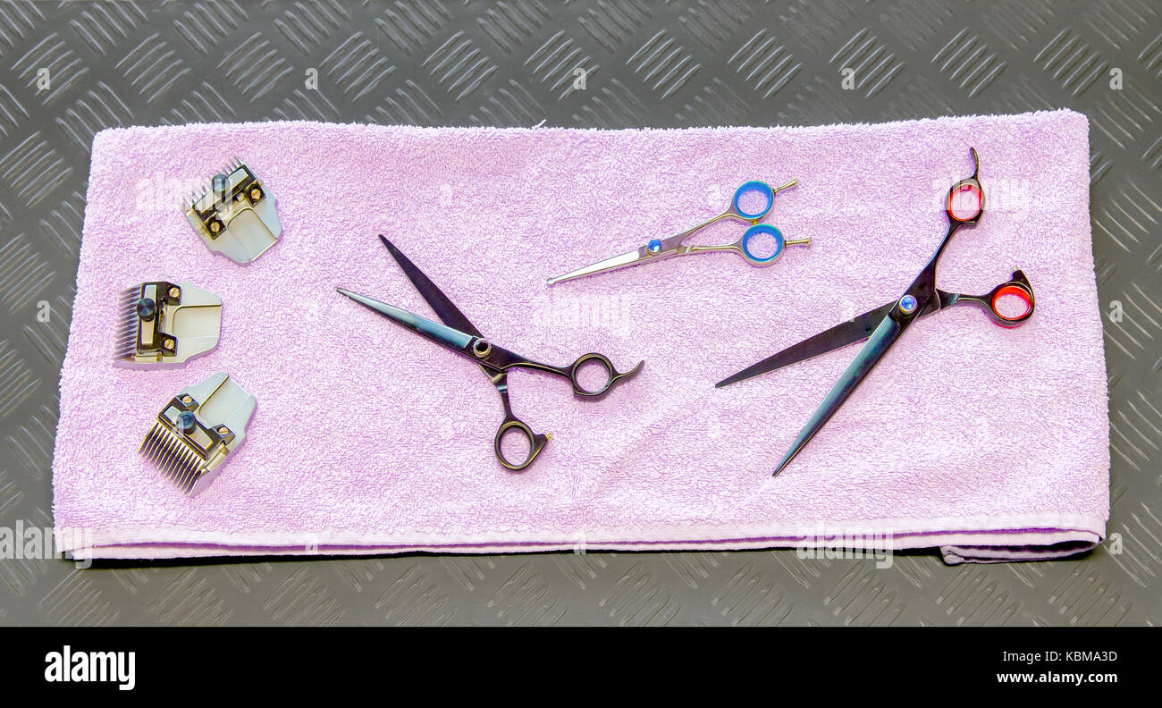 Dog grooming tools and accessories set in salon on a towel Stock Photo ...