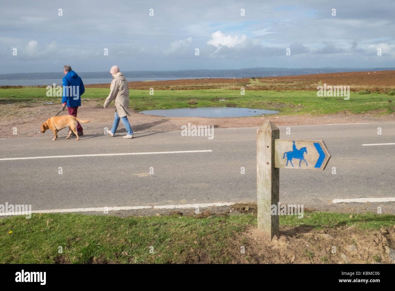 hiking,hike,walk,walking,Gower,Gower Peninsula,South,Wales,South Wales ...