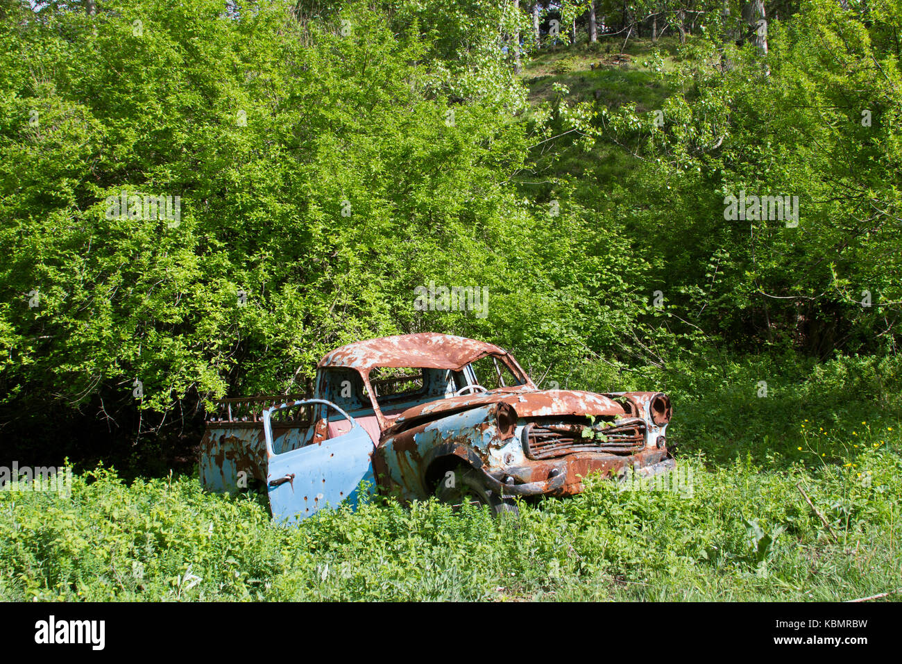 Car garden dashboard hi-res stock photography and images - Alamy