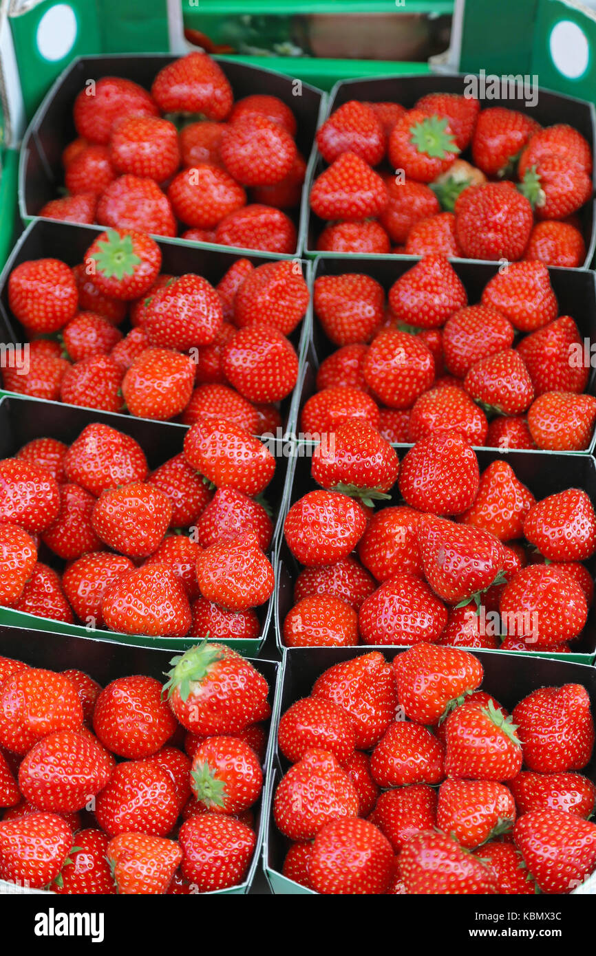 Fresh strawberries in small crates Stock Photo - Alamy