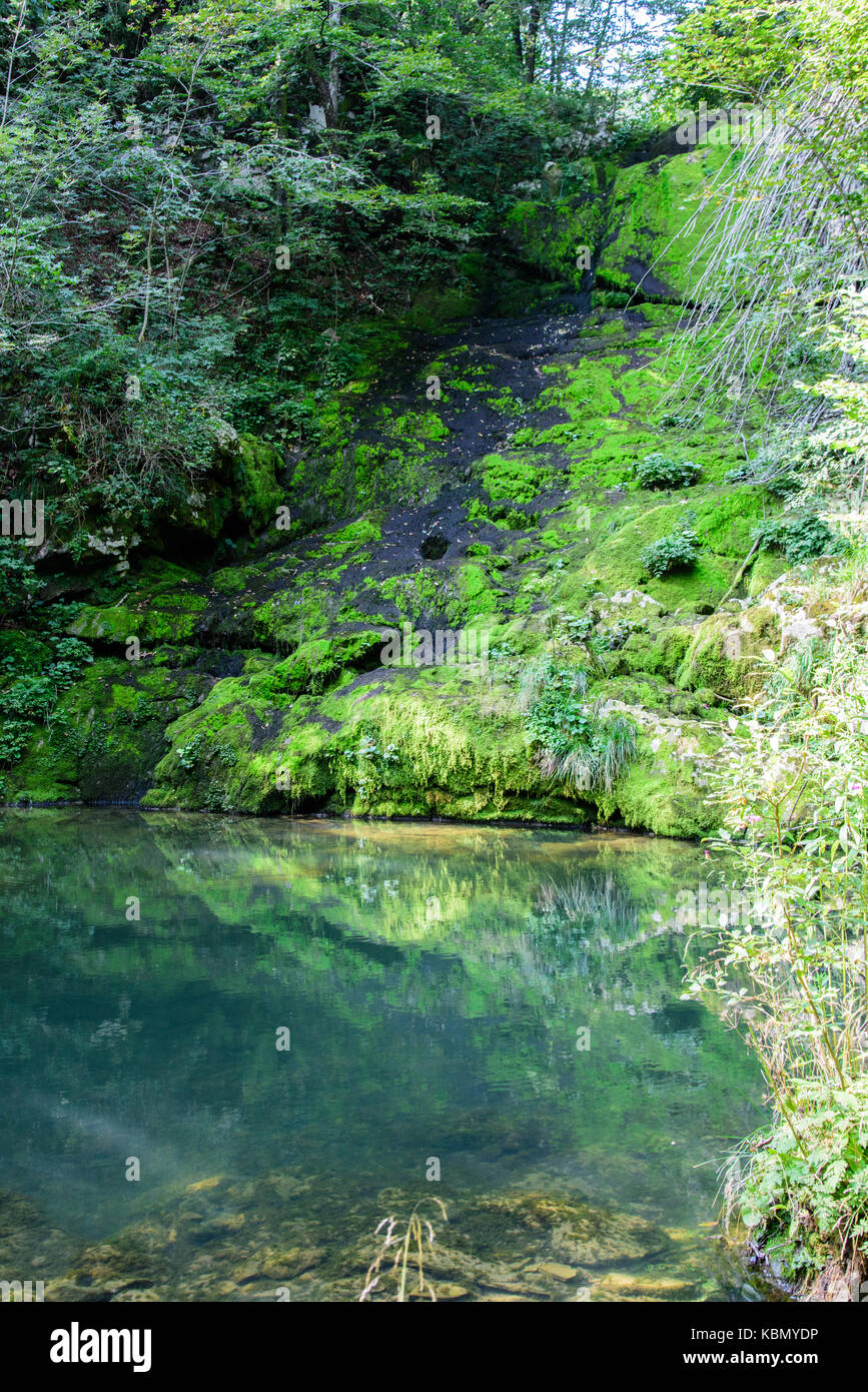 Waterfalls immersed in nature Stock Photo - Alamy