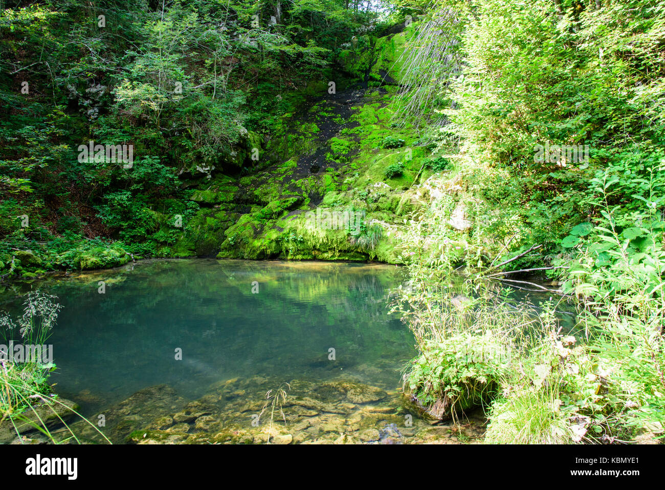 Waterfalls immersed in nature Stock Photo - Alamy