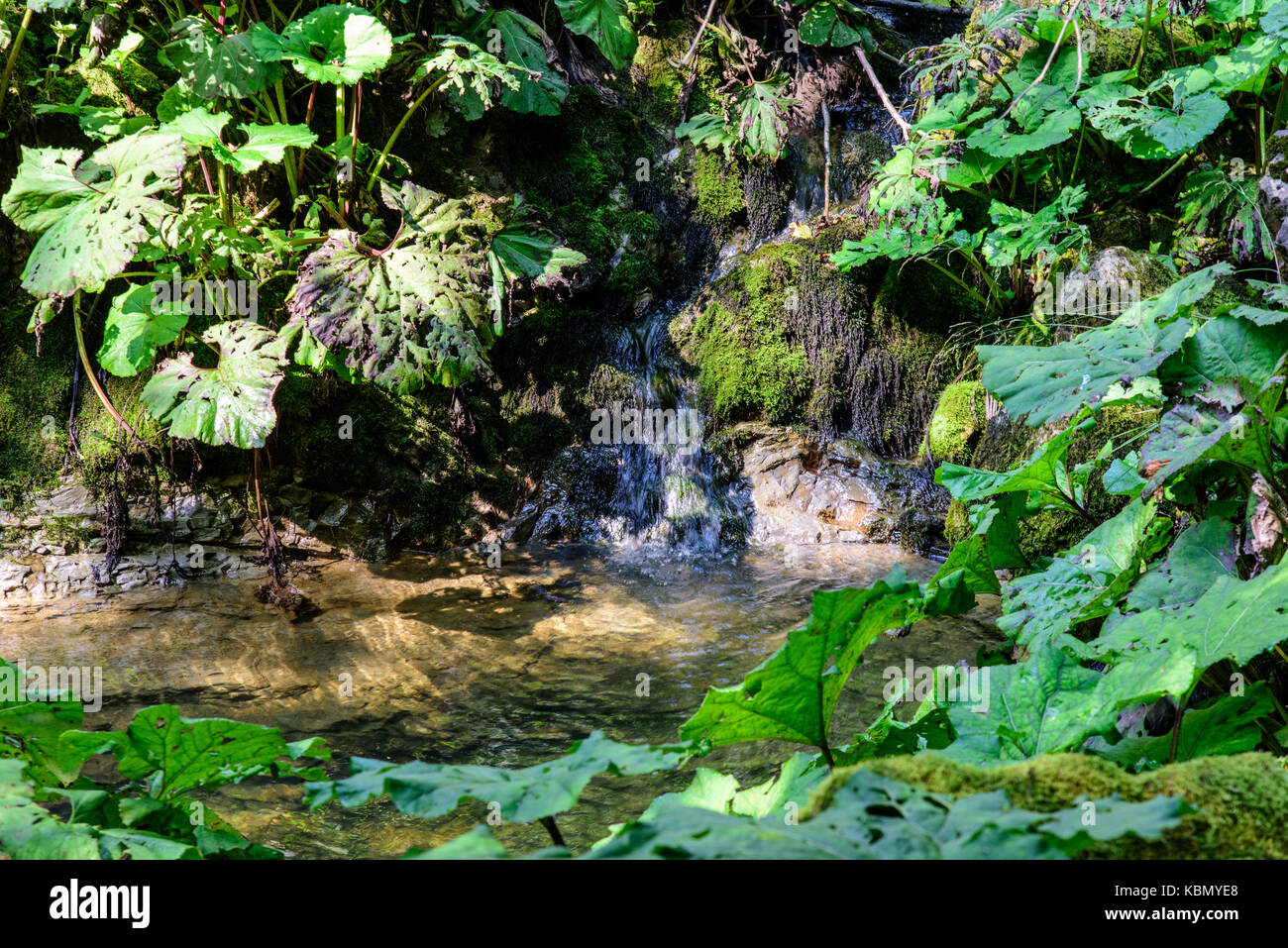 Waterfalls immersed in nature Stock Photo - Alamy