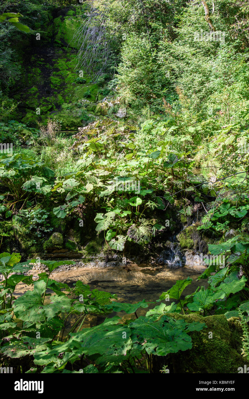 Waterfalls immersed in nature Stock Photo - Alamy