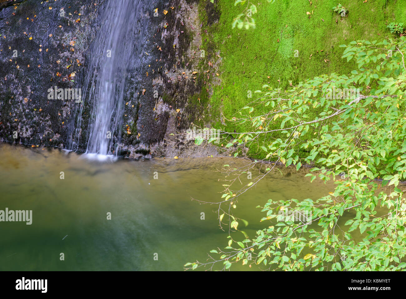 Waterfalls immersed in nature Stock Photo - Alamy