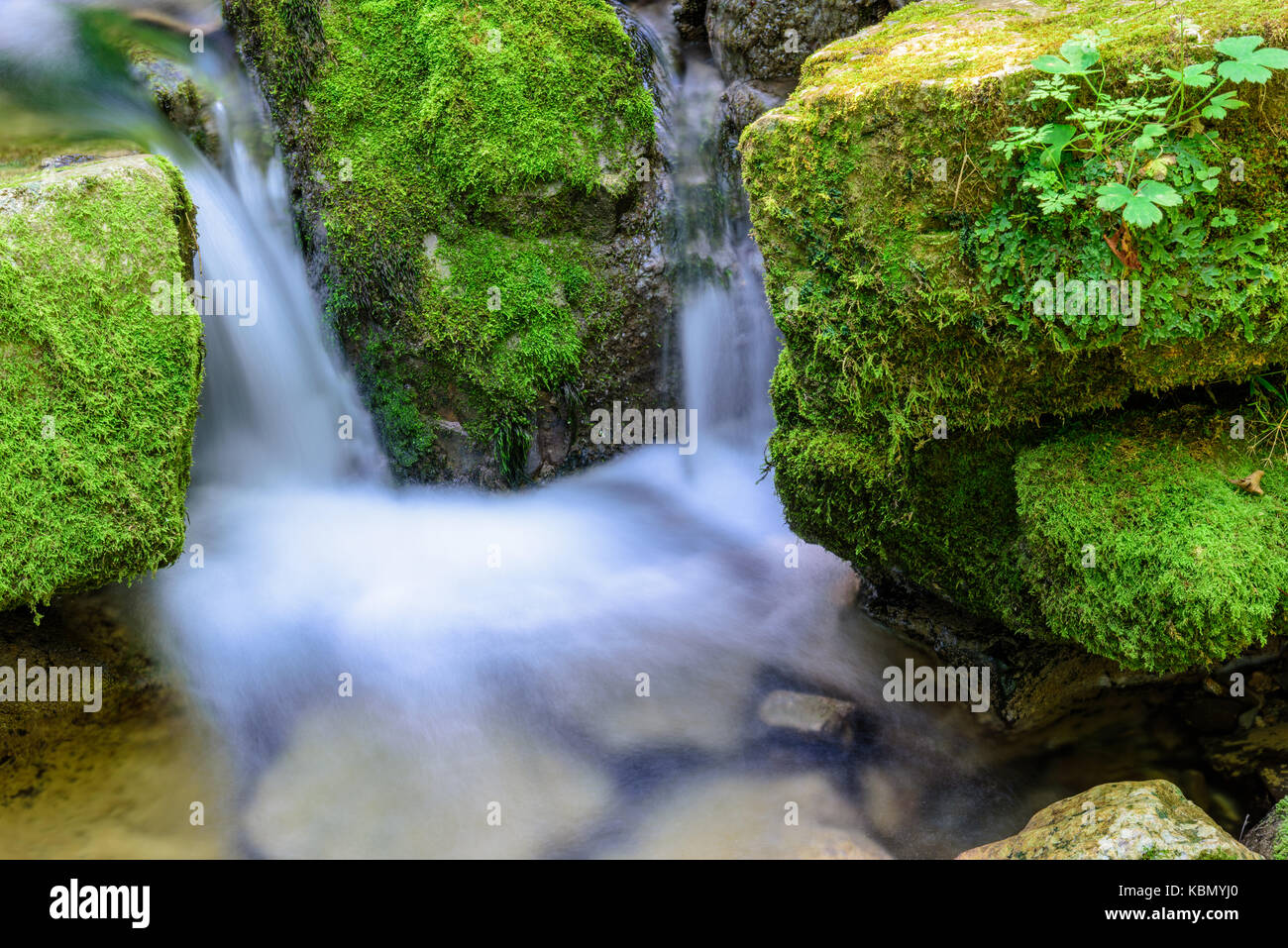 Waterfalls immersed in nature Stock Photo - Alamy