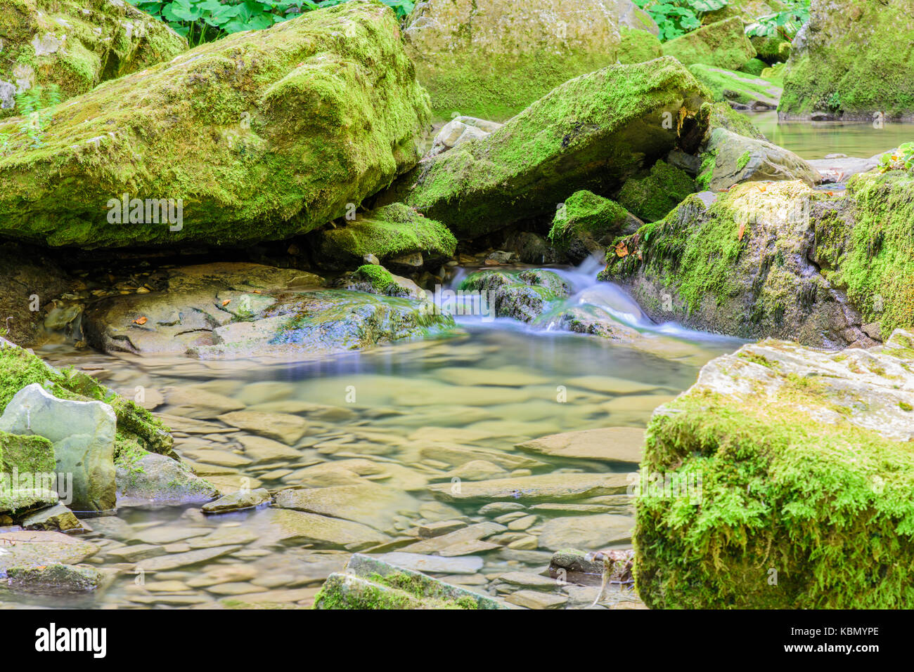 Waterfalls immersed in nature Stock Photo - Alamy