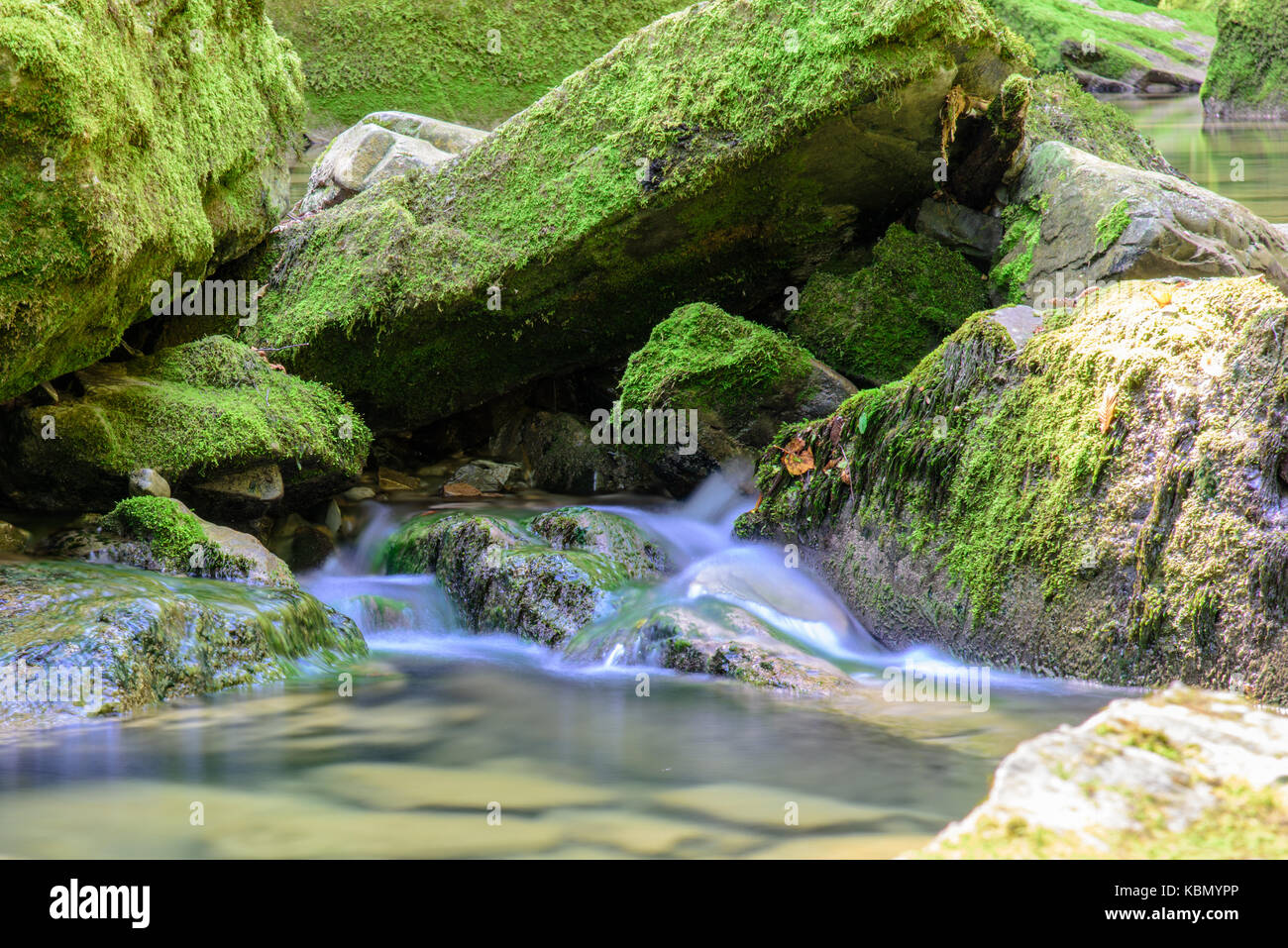 Waterfalls immersed in nature Stock Photo - Alamy
