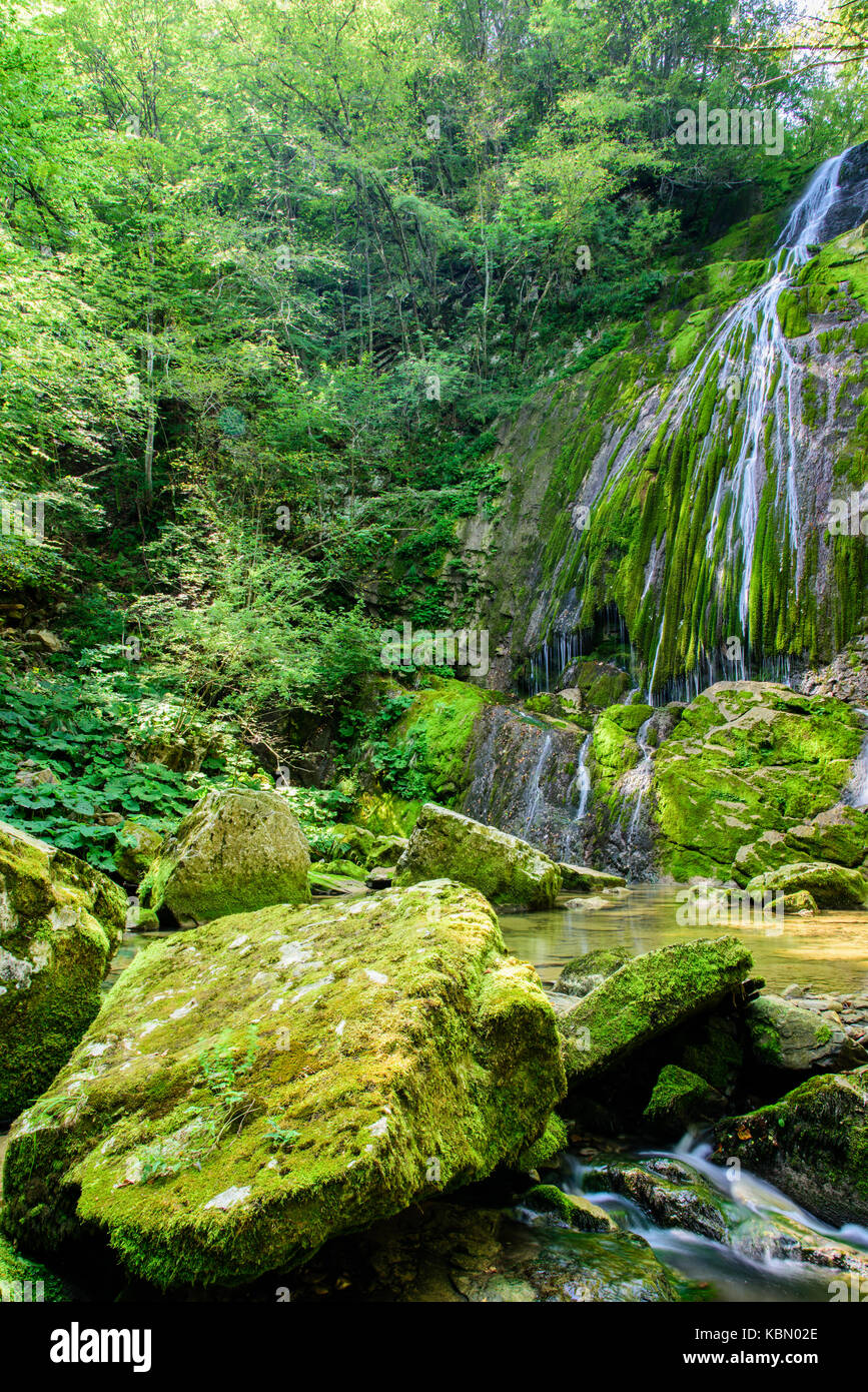 Waterfalls immersed in nature Stock Photo - Alamy