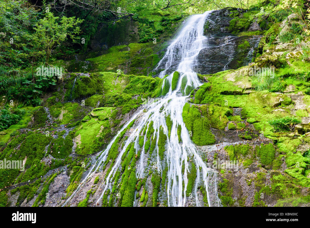 Waterfalls immersed in nature Stock Photo - Alamy