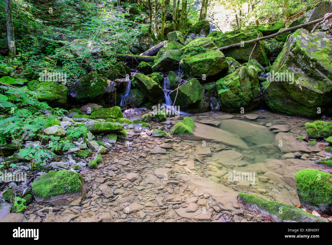Woman immersed in water hi-res stock photography and images - Alamy