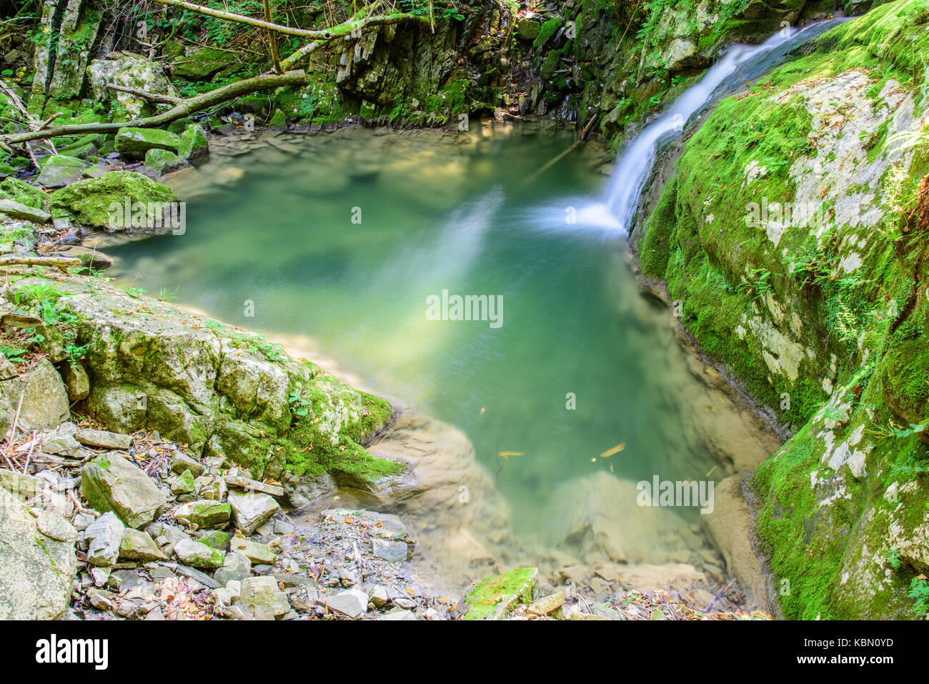 Waterfalls immersed in nature Stock Photo - Alamy