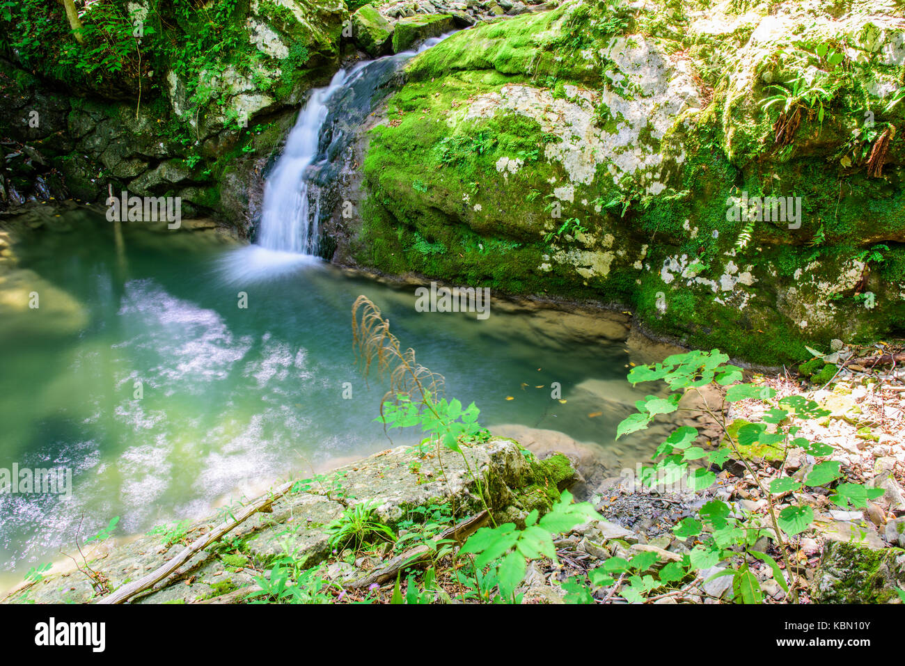 Waterfalls immersed in nature Stock Photo - Alamy