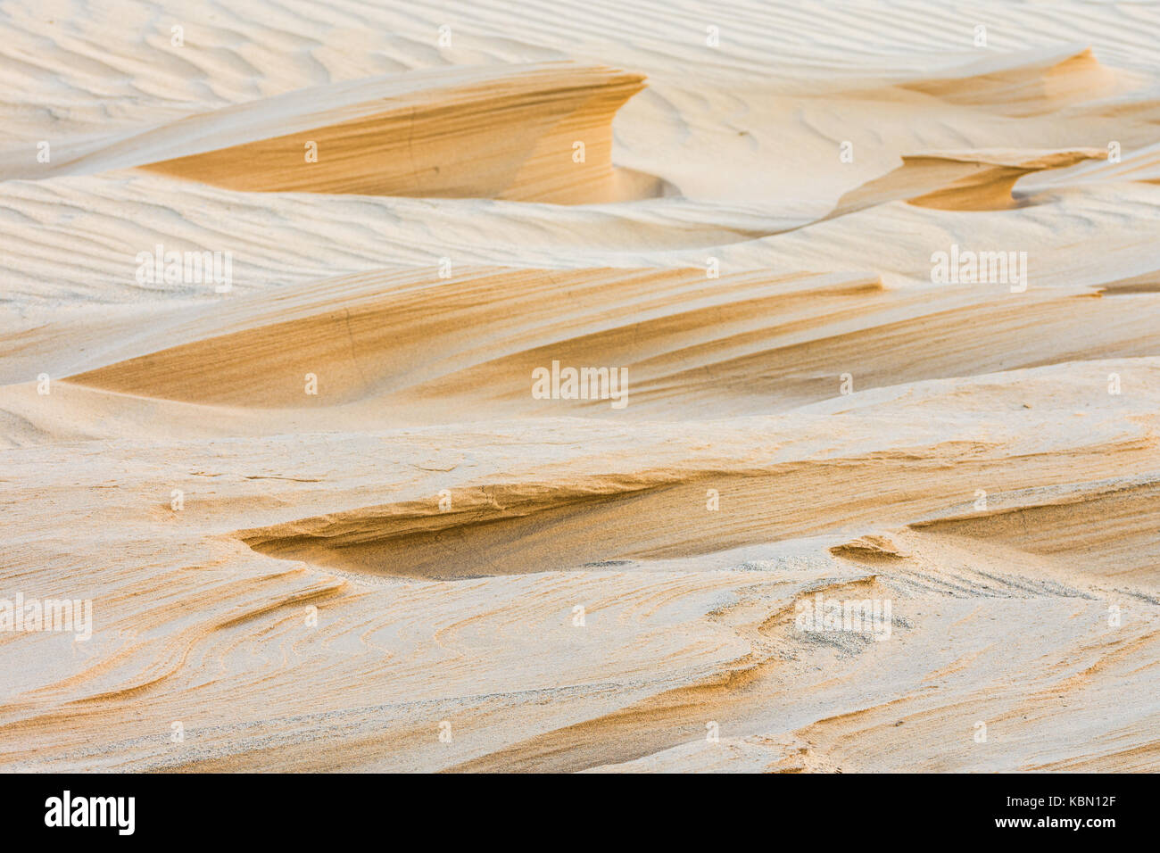 magnificent sandy waves on a sunny day Stock Photo - Alamy