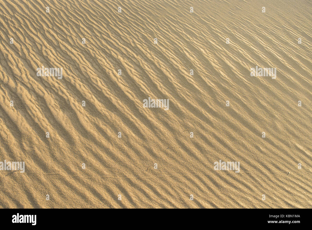 close-up of magnificent sandy grooves at sunny day Stock Photo - Alamy