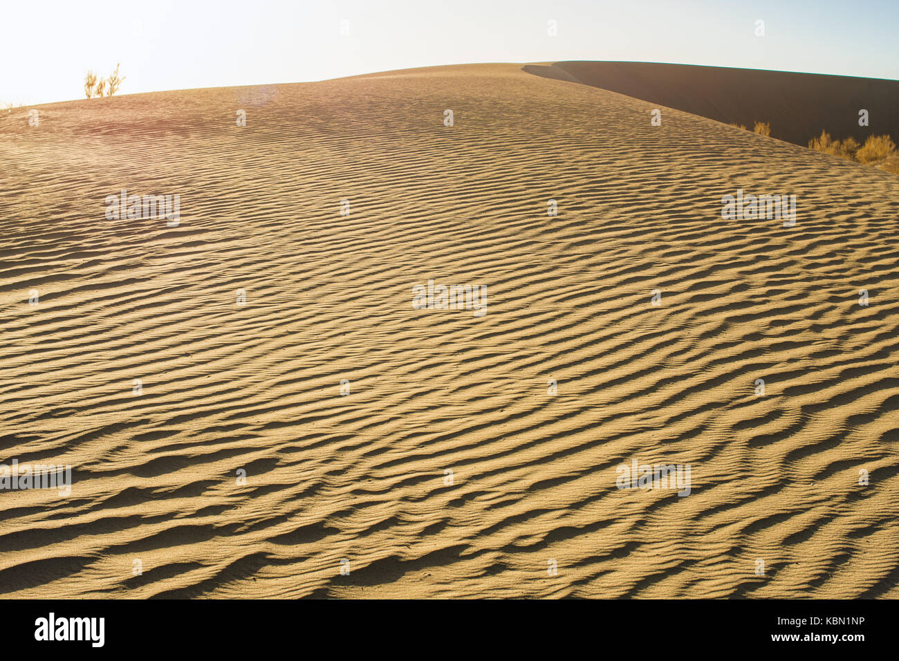close-up of magnificent sandy grooves at sunny day Stock Photo - Alamy