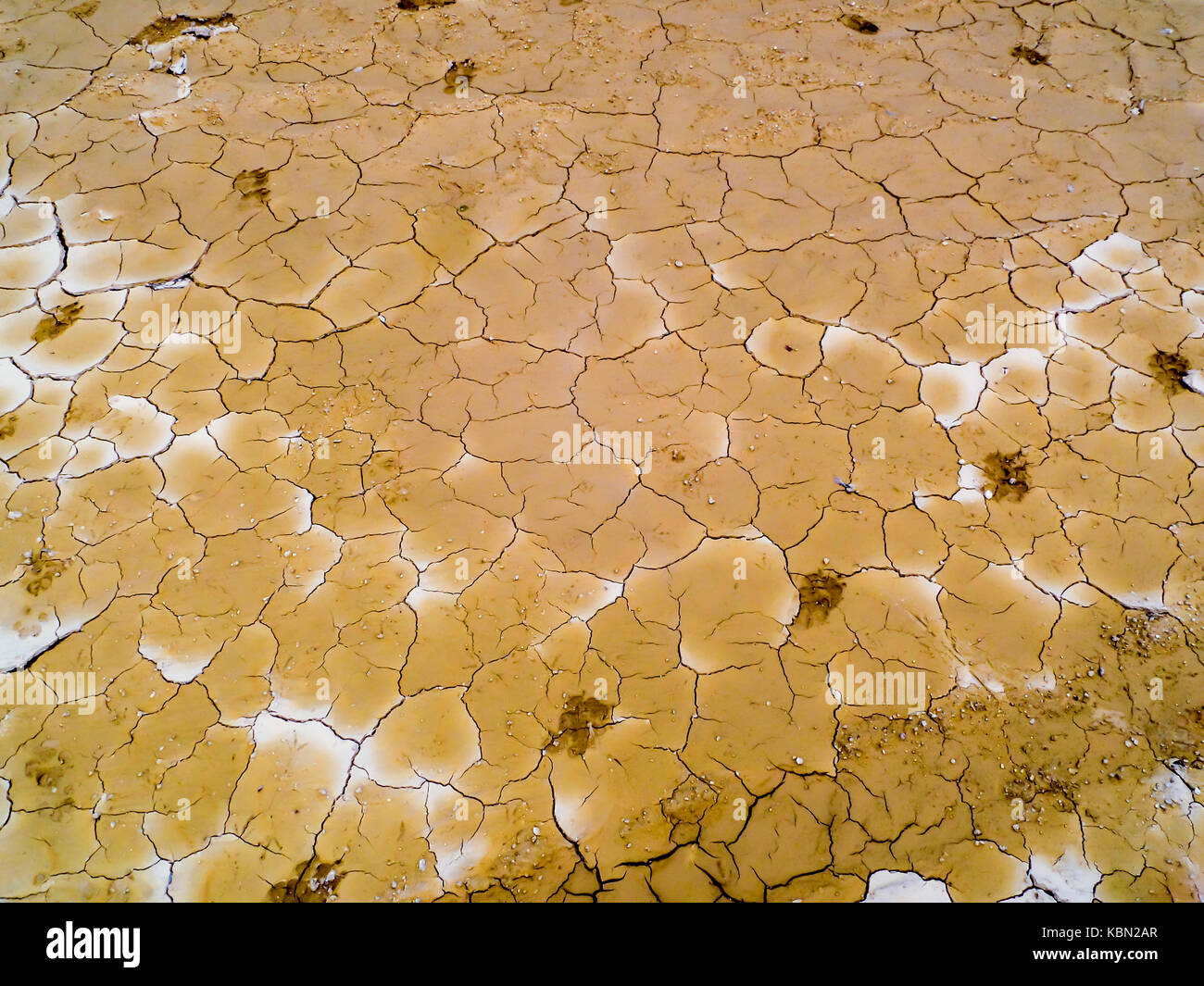 Swamp mud detail hi-res stock photography and images - Alamy
