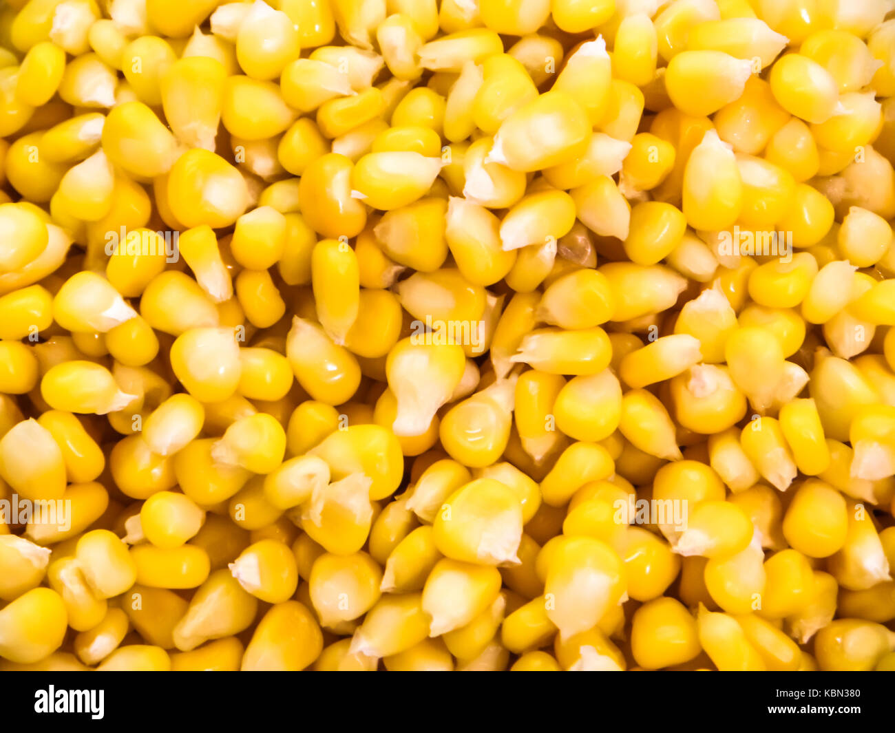 sweet corn vegetable for buffet background Stock Photo - Alamy