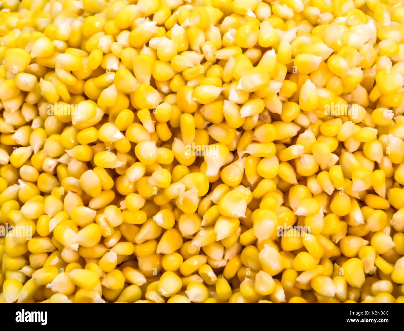 sweet corn vegetable for buffet background Stock Photo - Alamy