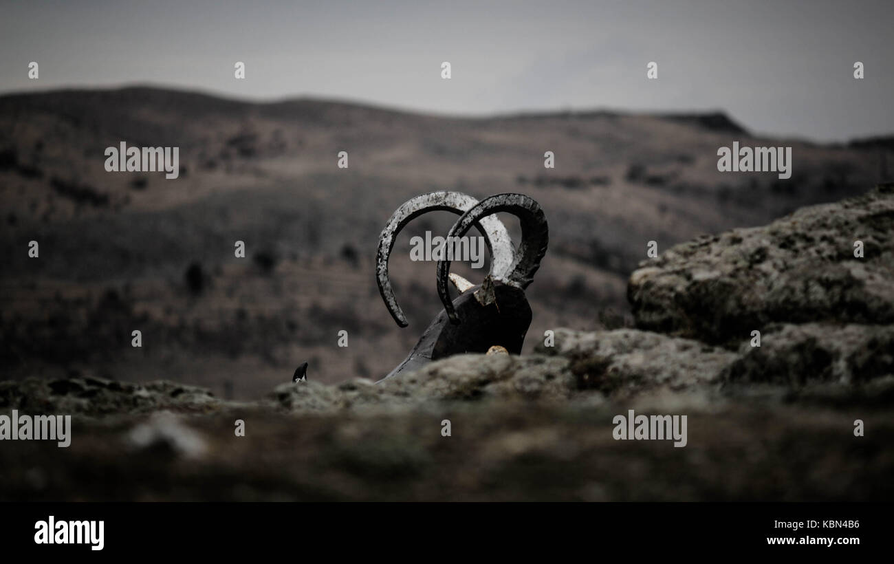 Iron goat on a hill looking down to the forest Stock Photo - Alamy